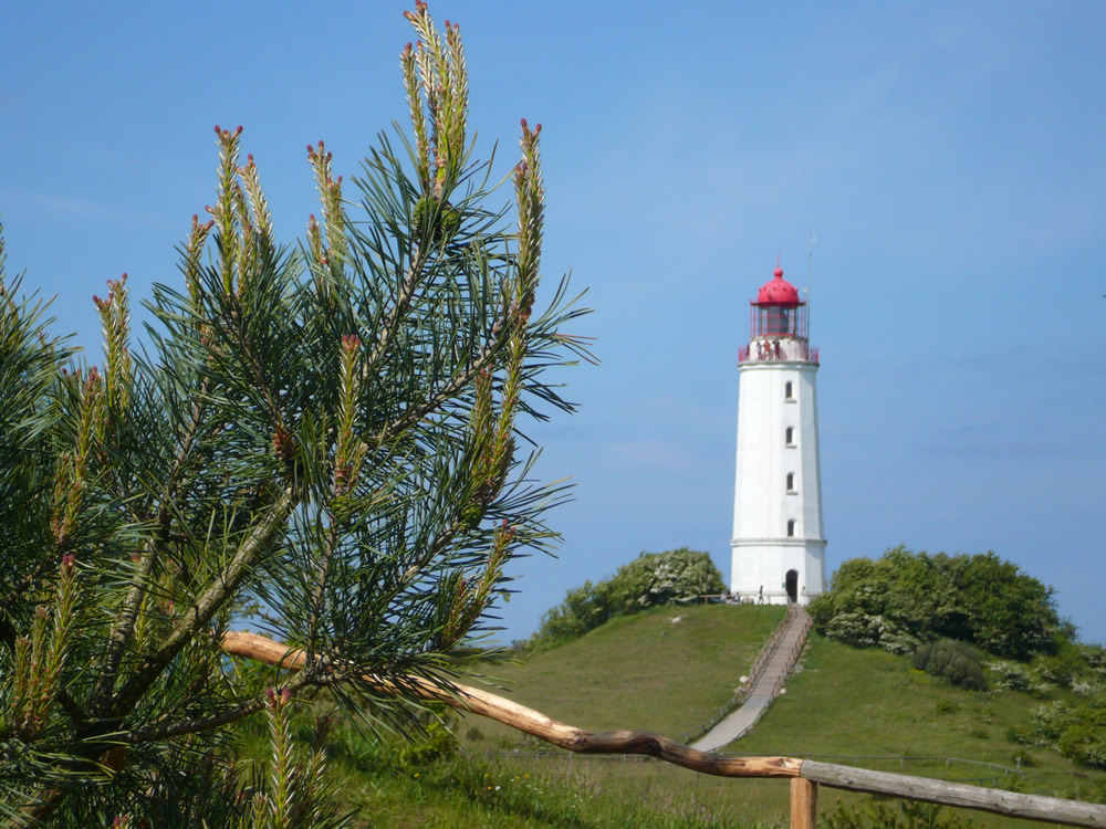 Tourismusverein Westrügen » Insel Hiddensee